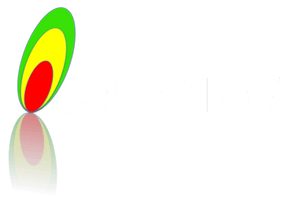 Cascade Consulting & Training Solutions